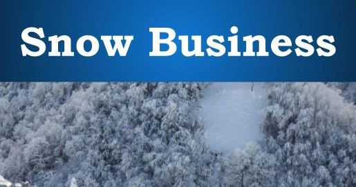 Snow Business | Board Game | BoardGameGeek