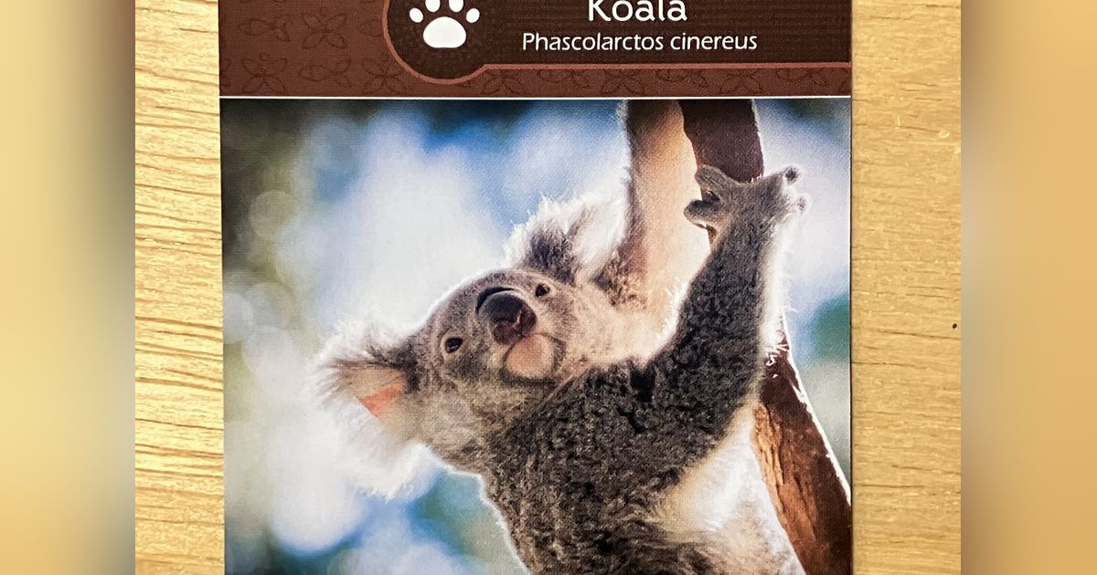Earth: African Lion/Koala Promo Card | Board Game | BoardGameGeek