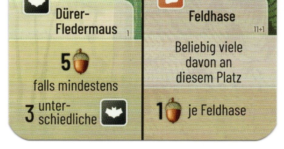 Mischwald: Dürer-Fledermaus / Feldhase Promokarte | Board Game ...