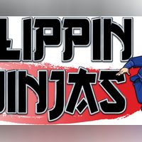 Flippin' Ninjas | Board Game | BoardGameGeek