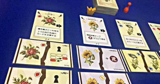 Age of Flora | Board Game | BoardGameGeek