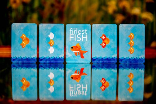 Miss Goldfish Universe - a review by BoardGameColors | The Finest Fish