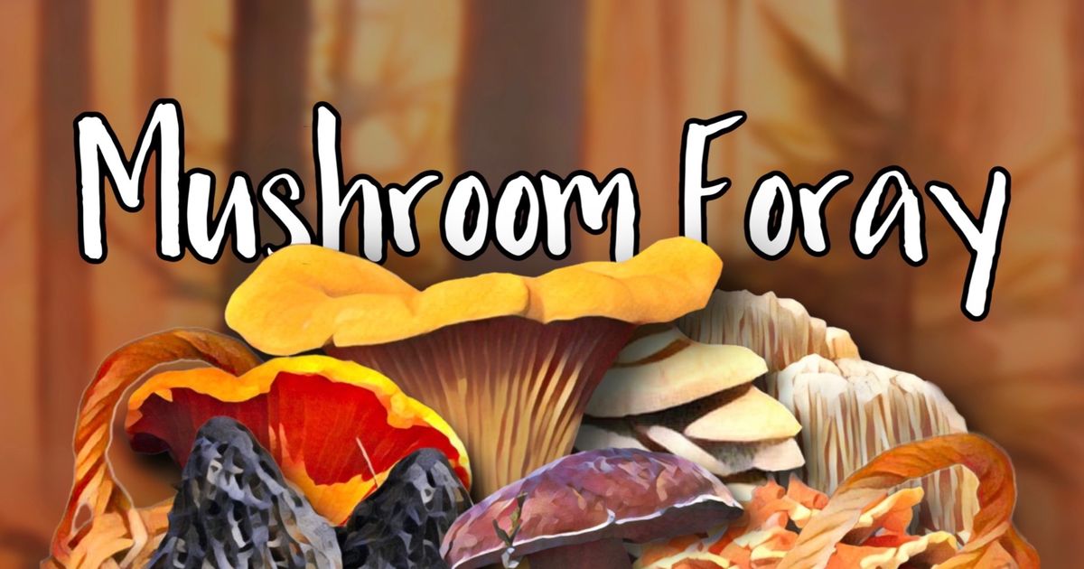 Mushroom Foray | Board Game | BoardGameGeek