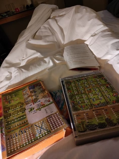 Planes, trains (hotels) and board games | One Single Meeple | BoardGameGeek