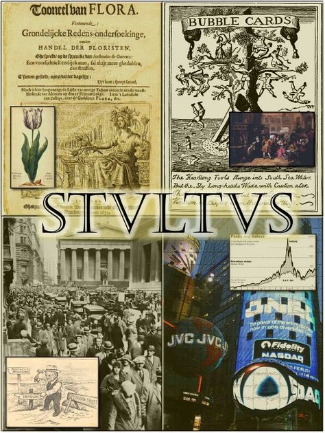 Stultus card back | Stultus