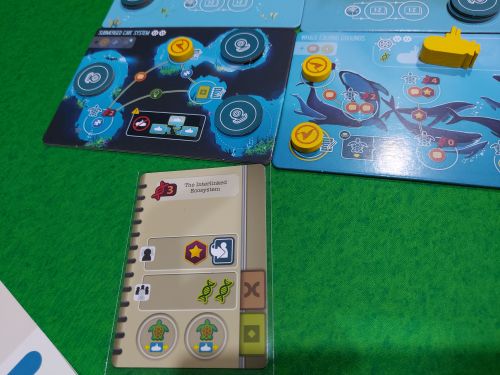 Submerged cave system and interlinked ecosystem | Endeavor: Deep Sea