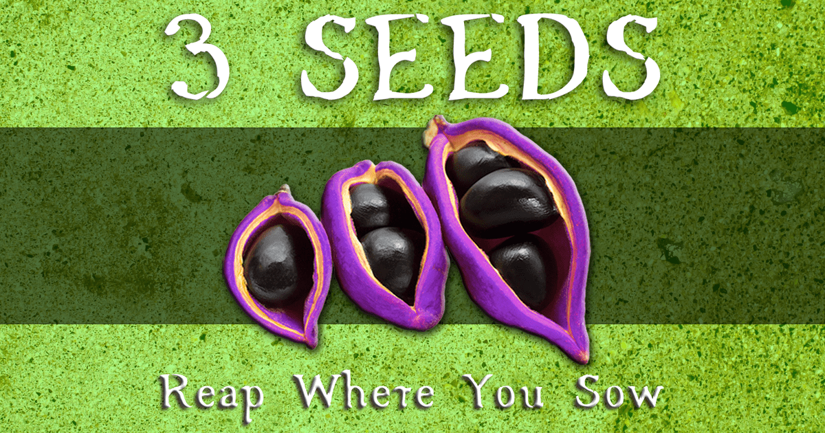 3 Seeds: Reap Where You Sow | Board Game | BoardGameGeek