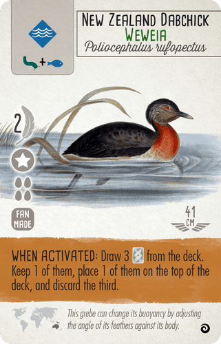 Birds of New Zealand / Nga Manu o Aotearoa fan pack | Wingspan