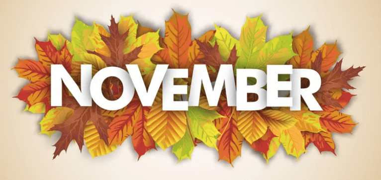 10 Questions For Everyone #100 - November 2024