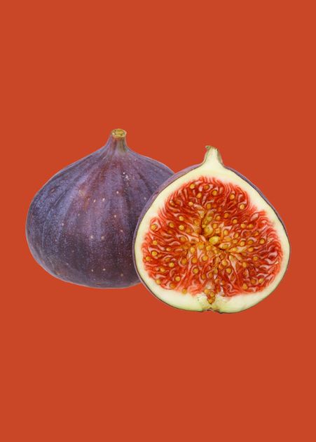 Figo | Board Game | BoardGameGeek