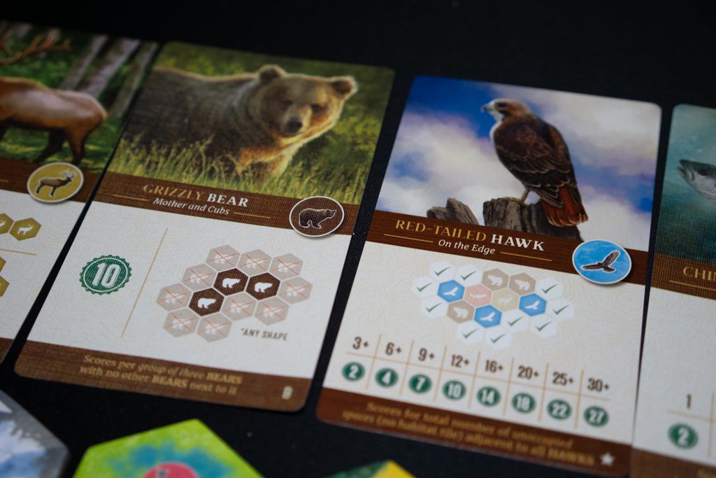 Cascadia KS card quality | Cascadia