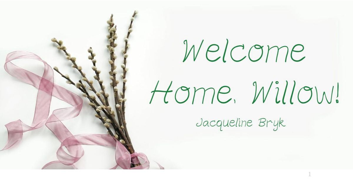 Welcome Home, Willow! | RPG Item | BoardGameGeek