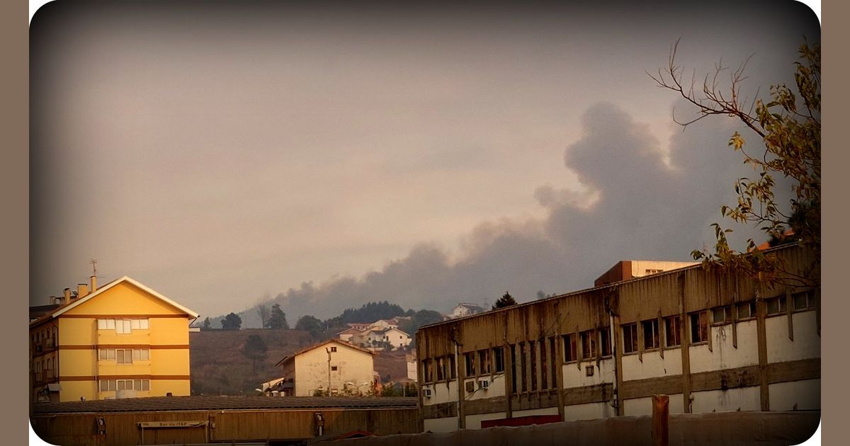 ...stories and animals in the fire... | Browsing Games | RPGGeek