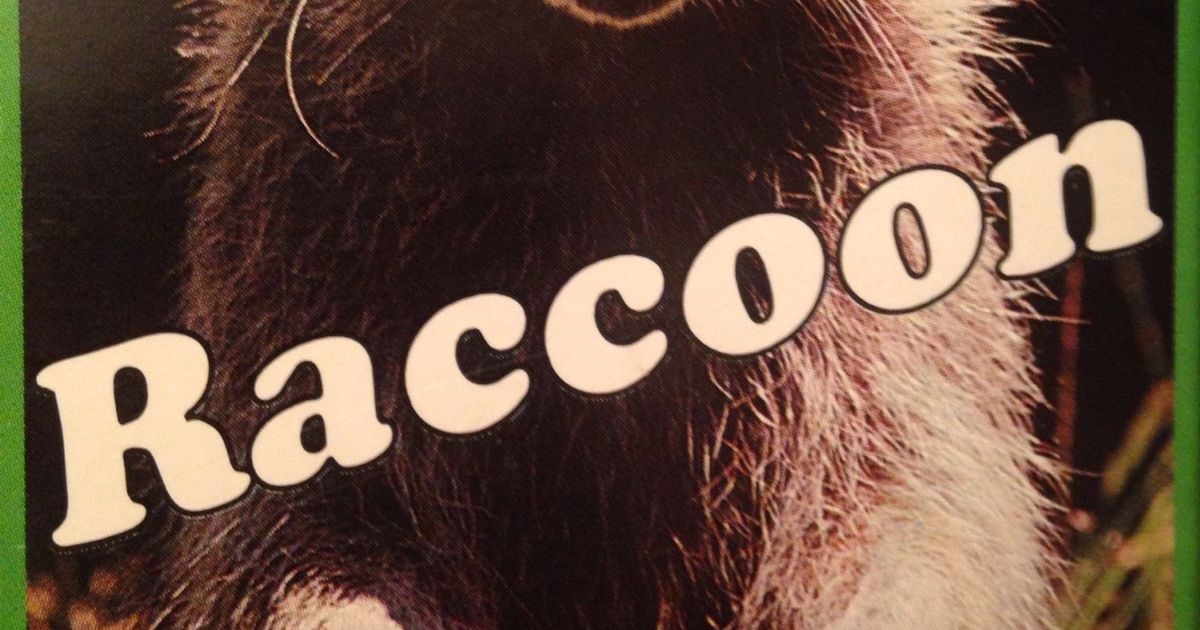 Raccoon | Board Game | BoardGameGeek