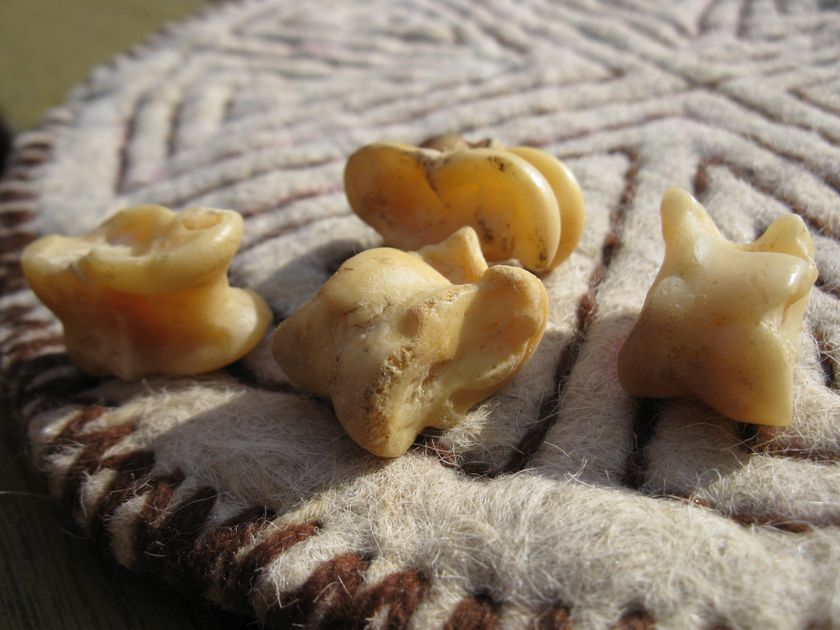 Shagai Bones | Board Game | BoardGameGeek