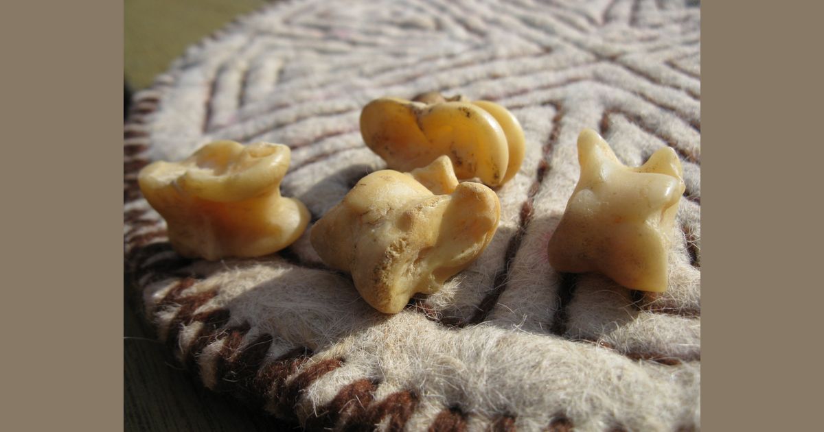 Shagai Bones | Board Game | BoardGameGeek