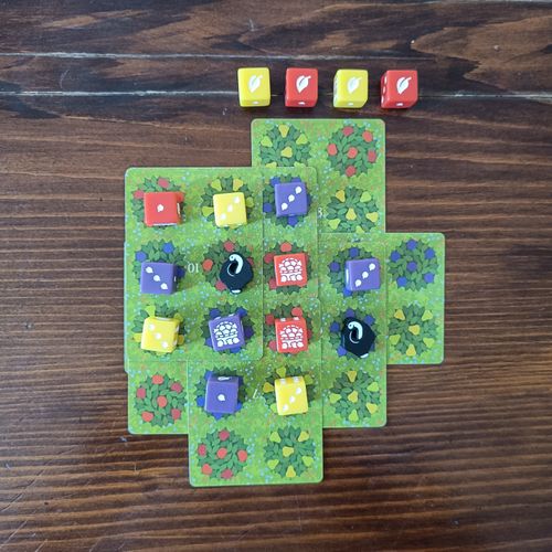 Orchard Solo Challenge: June 2024 | Orchard: A 9 card solitaire game