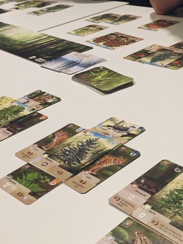 LadybugMeeple's blog | BoardGameGeek