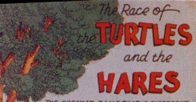 Race of the Turtles and Hares | Board Game | BoardGameGeek