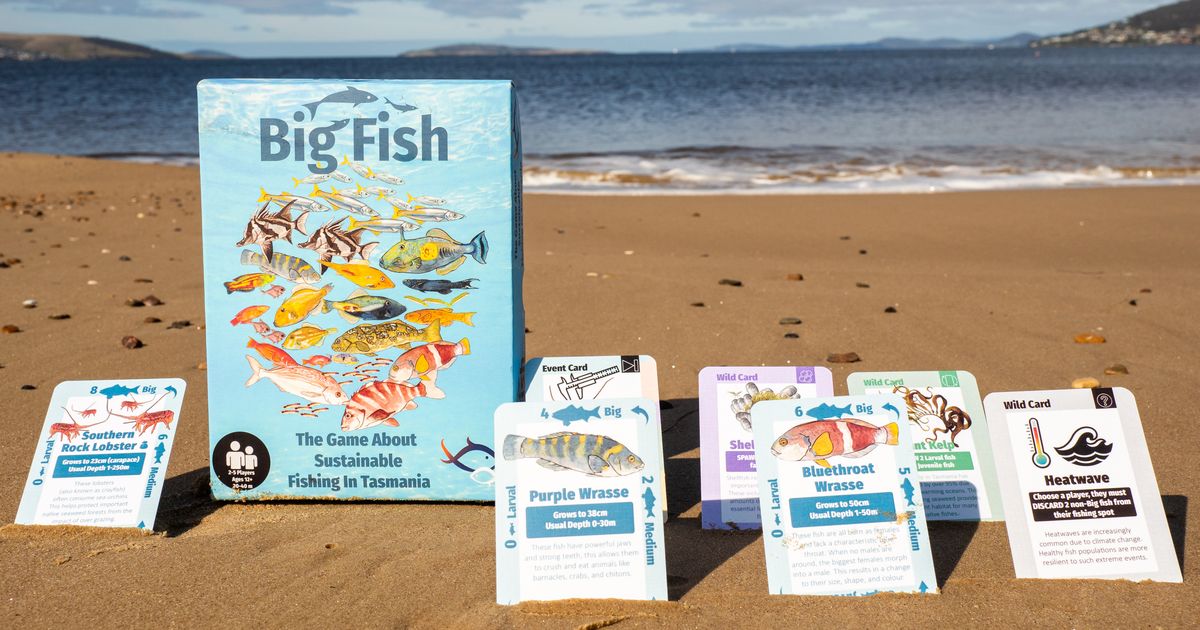 Big Fish Card Game | Board Game | BoardGameGeek