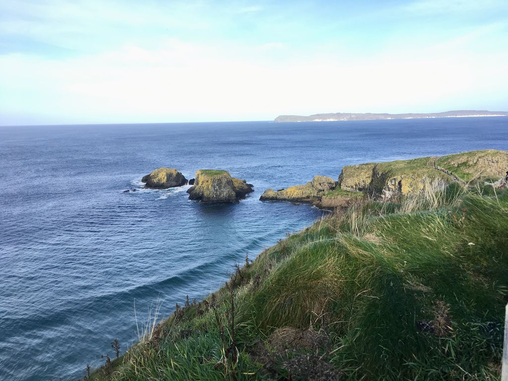 Farshore Designer Diary | Everdell Farshore