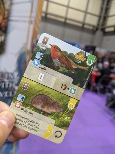 LadybugMeeple's blog | BoardGameGeek