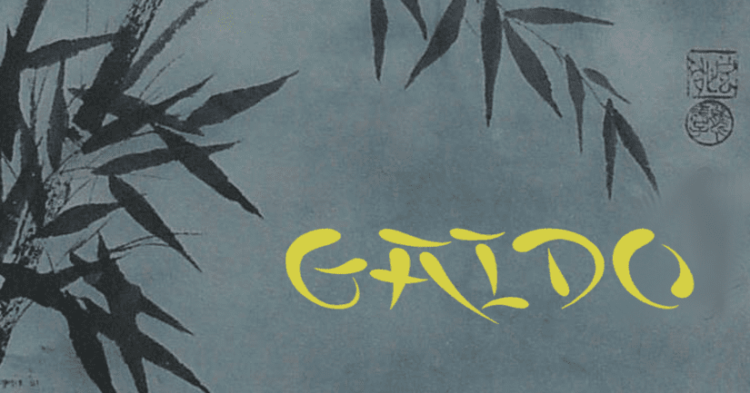 Gaido | Board Game | BoardGameGeek