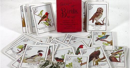 The Game of Birds | Board Game | BoardGameGeek