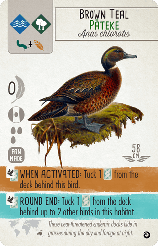 Birds of New Zealand / Nga Manu o Aotearoa fan pack | Wingspan