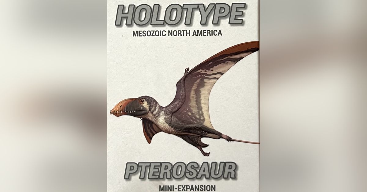 Holotype: Pterosaur Mini-Expansion | Board Game | BoardGameGeek
