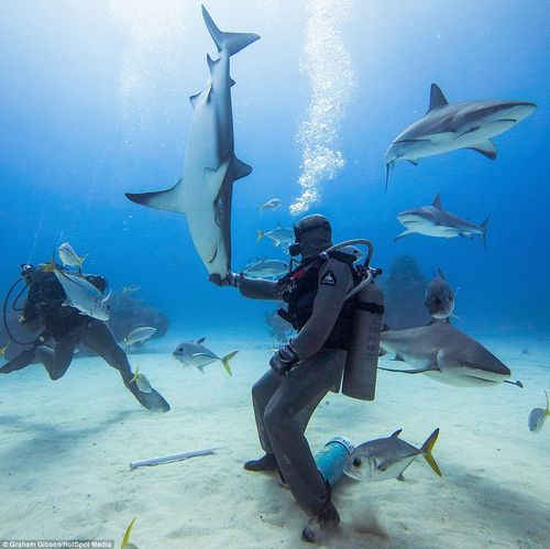 funny caption competition