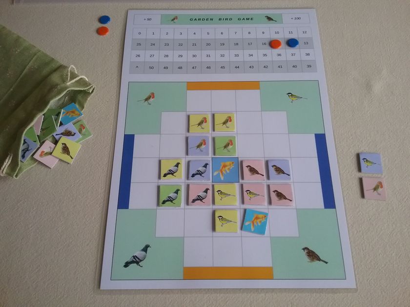 The Garden Bird Game | Board Game | BoardGameGeek