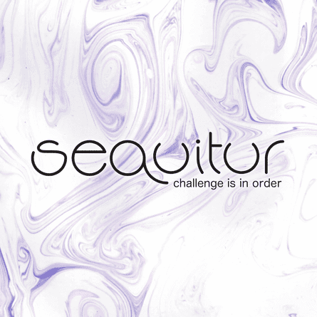 A Meeple Pusher Review of: Sequitur | Sequitur