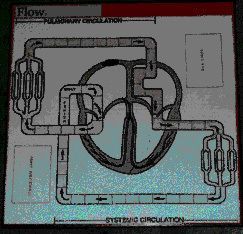 Flow | Board Game | BoardGameGeek