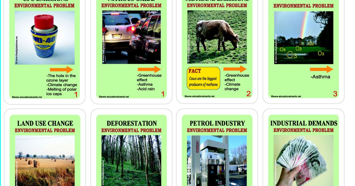 The Environment | Board Game | BoardGameGeek