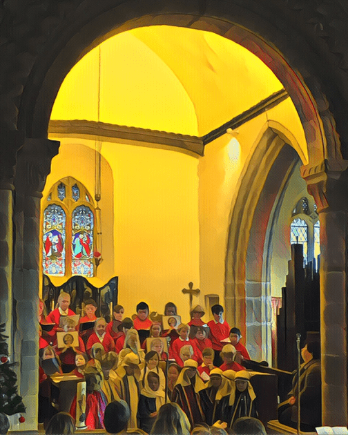 A Fish Called Wonder | Everyone Needs A Shed