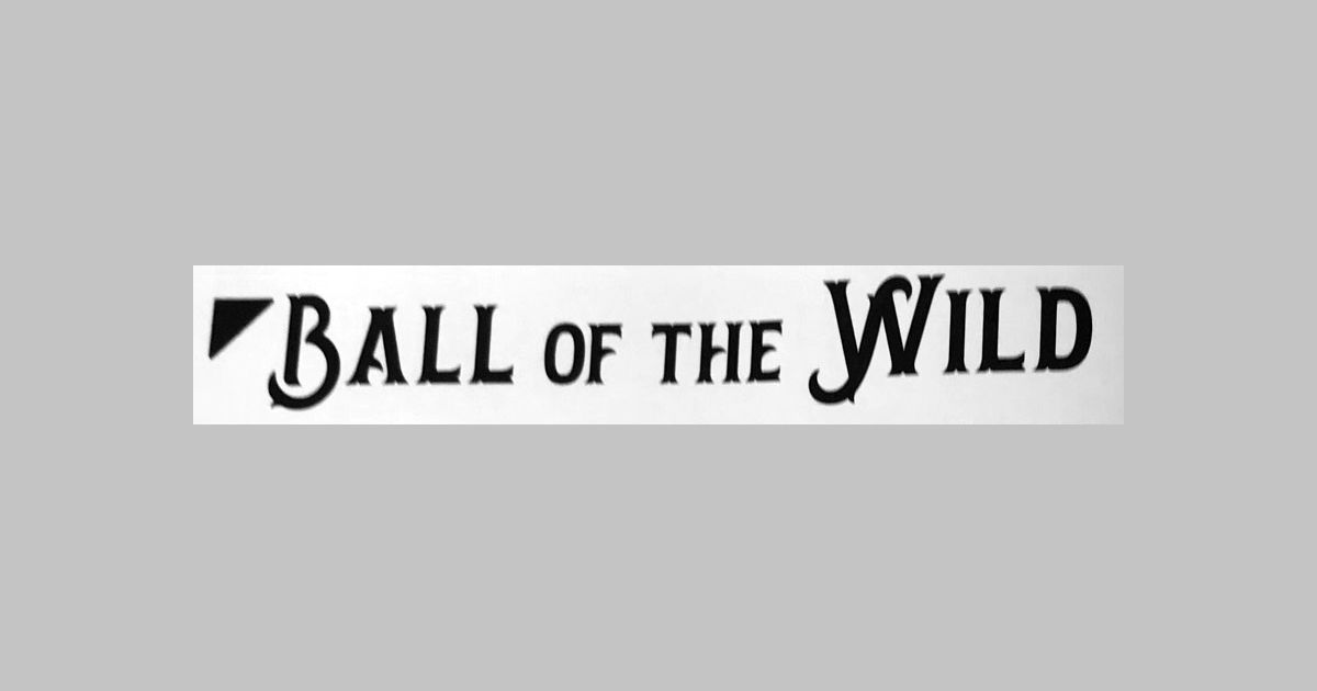 How does resolution work? | Ball of the Wild