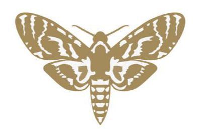 Moth (fan expansion for Hive) | Board Game | BoardGameGeek