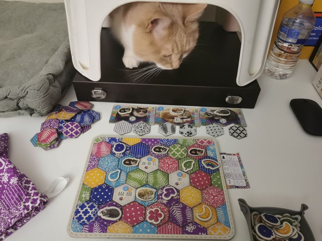 Calico Solo Competition: March - Scenario 1 | Calico