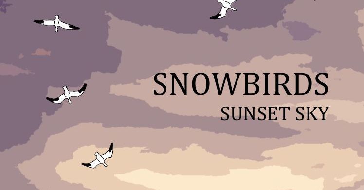 Snowbirds: Sunset Sky | Board Game | BoardGameGeek