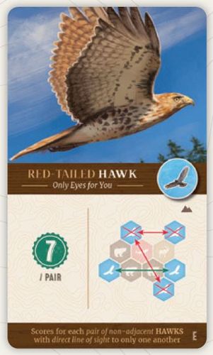Hawk Card E | Cascadia: Landmarks