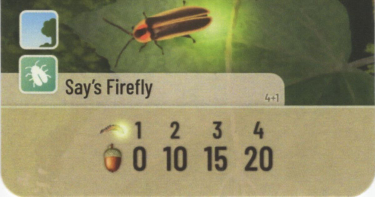 Forest Shuffle: Cardinal / Say's Firefly Promo Card | Board Game ...