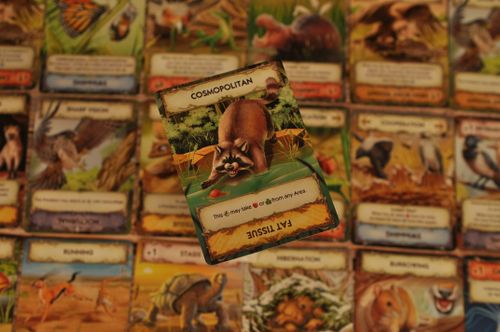 Evolution New World Review (EN) | Evolution: New World