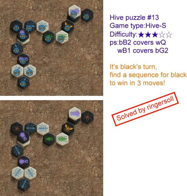 Hive Puzzles metalist