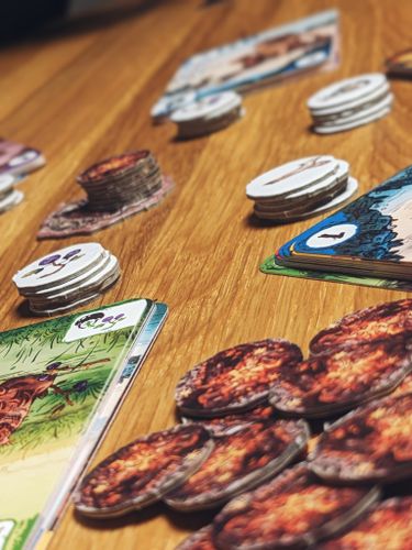 LadybugMeeple's blog | BoardGameGeek