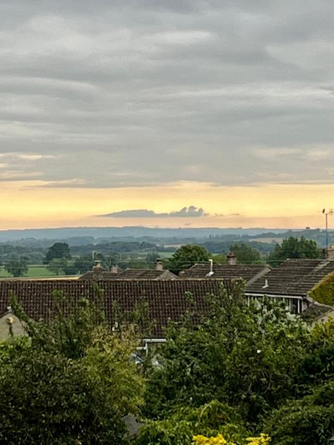 23rd July 2024 - Still buzzing | Meepleonboard