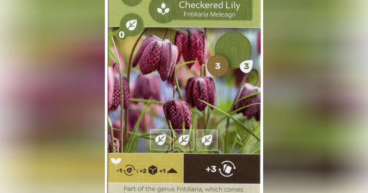 Earth: Checkered Lily Promo Card | Board Game | BoardGameGeek