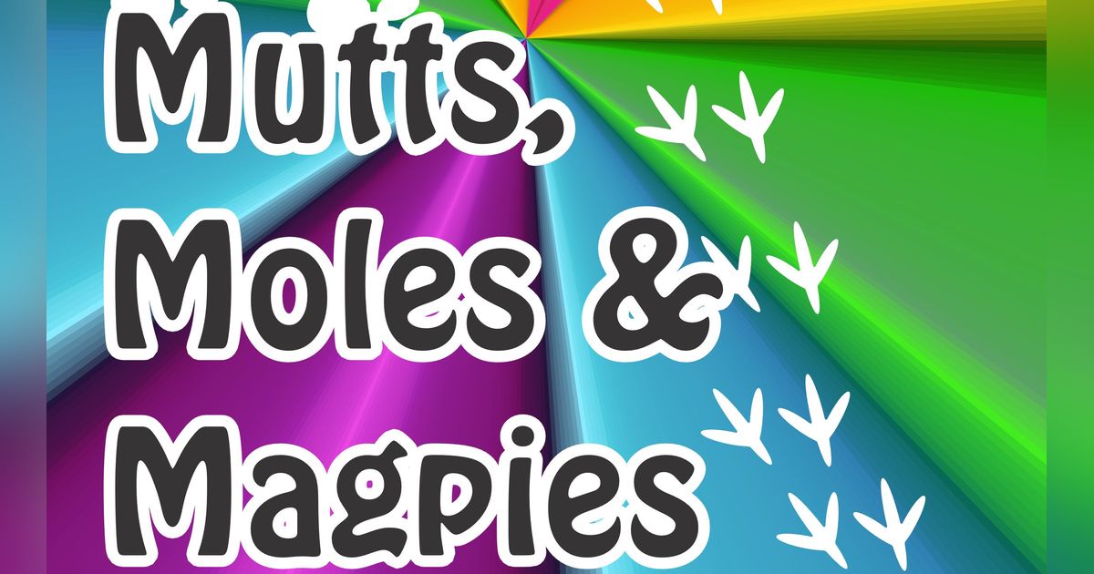 Mutts, Moles and Magpies | Board Game | BoardGameGeek