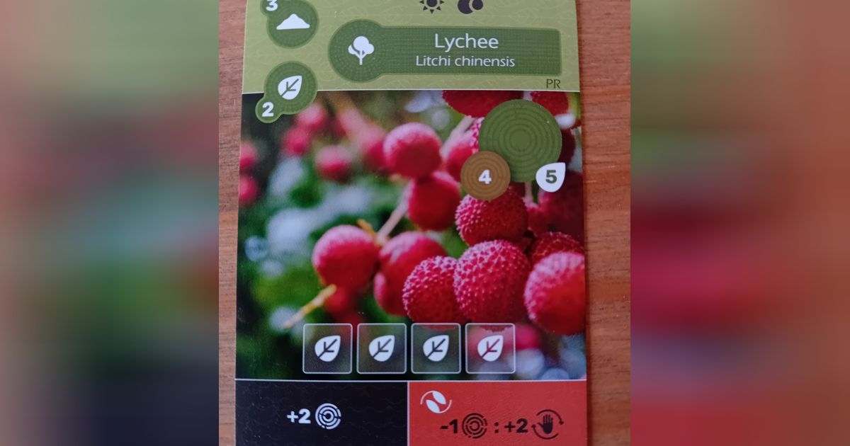 Earth: Lychee Promo Card | Board Game | BoardGameGeek
