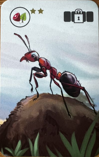 Safari Photo: Ants Promo Cards | Board Game | BoardGameGeek